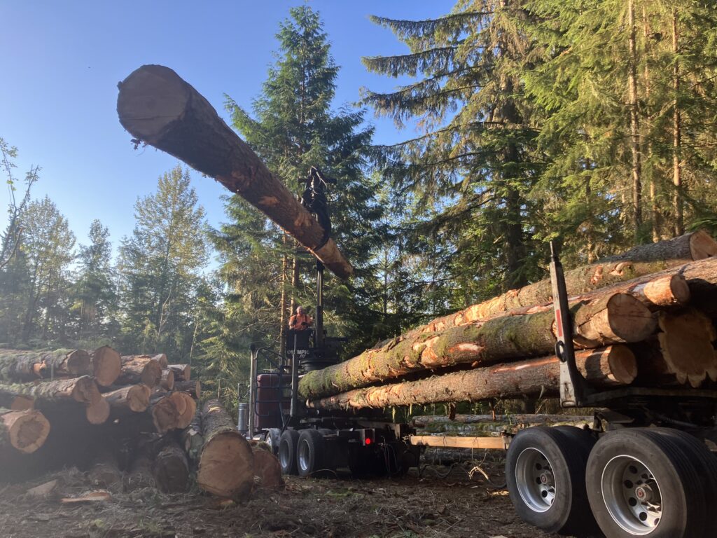 Excavating and Bulldozing Gallery | ACE Bulldozing LLC